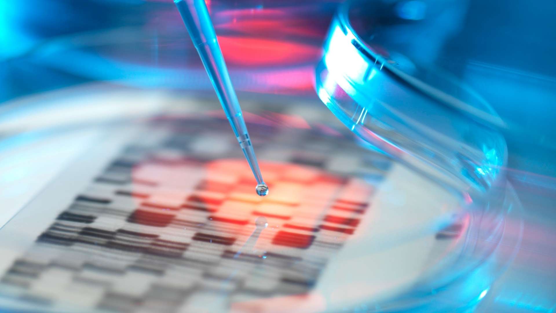 Genética Humana - Laboratório Genoprimer