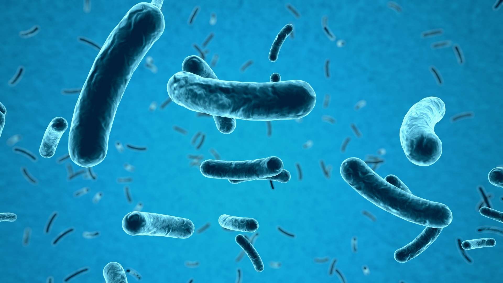 Diagnóstico de Doenças Infectocontagiosas - Laboratório Genoprimer